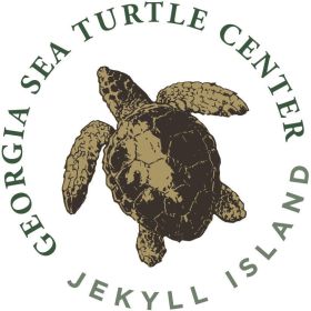 Preface and Intent - Sea Turtle Guardian