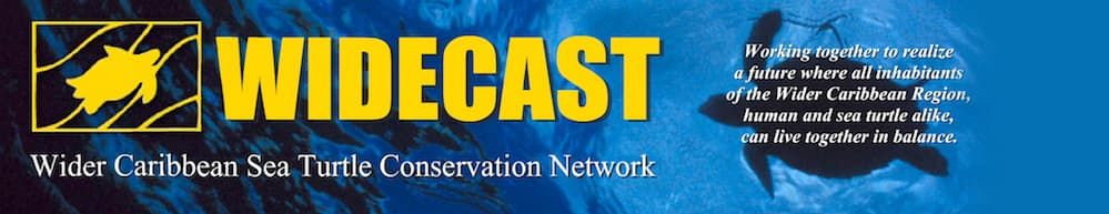 Clinical Pathology of Sea Turtles - Sea Turtle Guardian